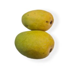 Anwer Rotor (Pakistani) Mango